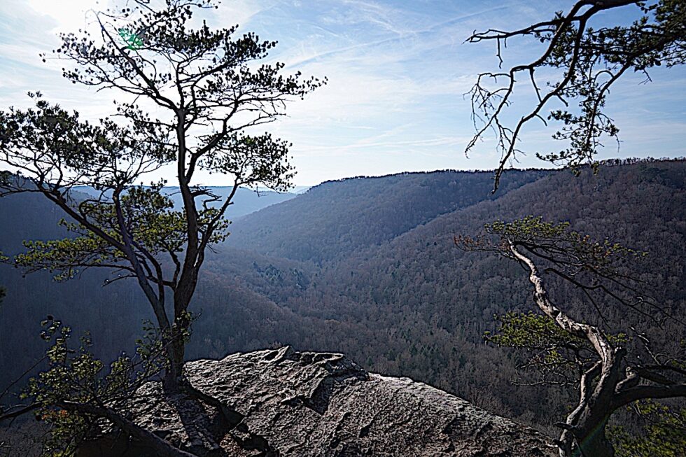 Fiery Gizzard | Hardwin Adventures